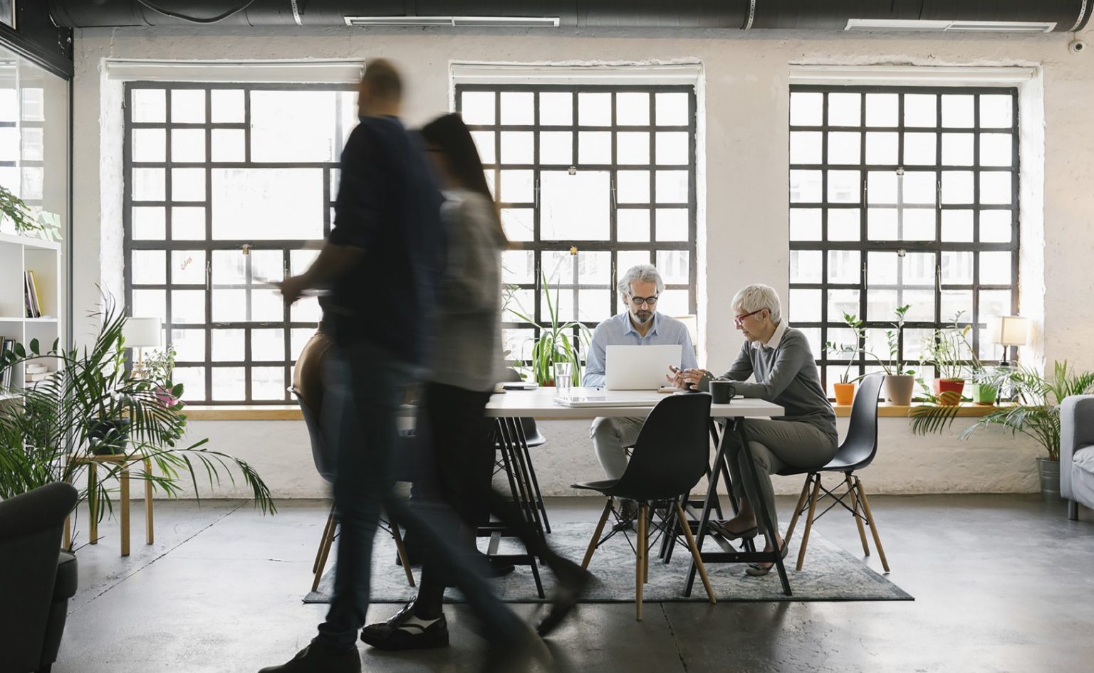 AI-Powered Succession Planning Software | Avature